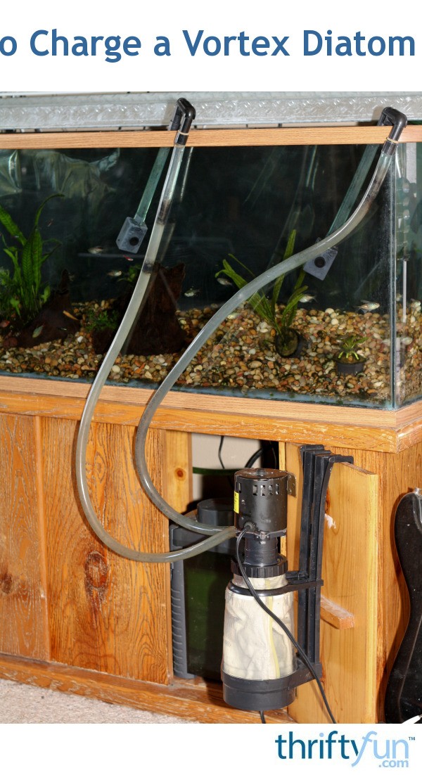 How to Charge a Vortex Diatom Filter | ThriftyFun