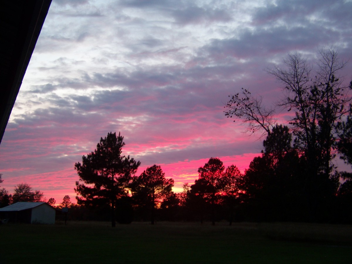 Scenery: Sunset (Perry, SC) | ThriftyFun