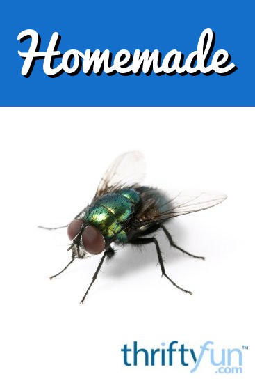 Homemade Fly Traps | ThriftyFun