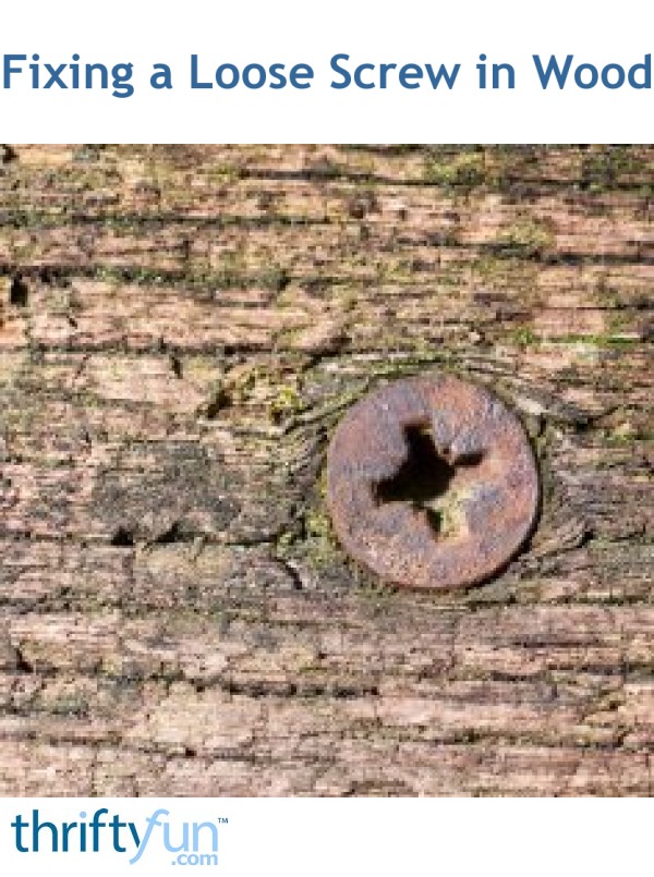 Fixing a Loose Screw in Wood | ThriftyFun