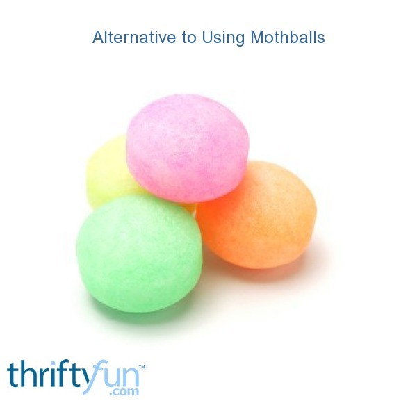 Alternative to Using Mothballs | ThriftyFun