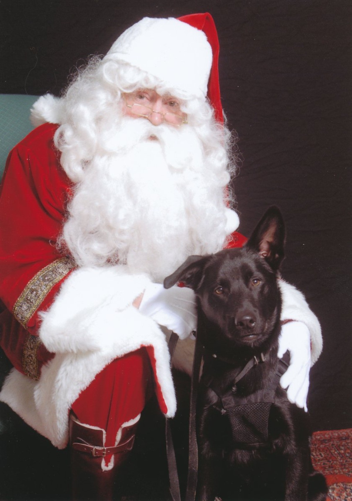 Apollo (American Lattle Mix) | ThriftyFun