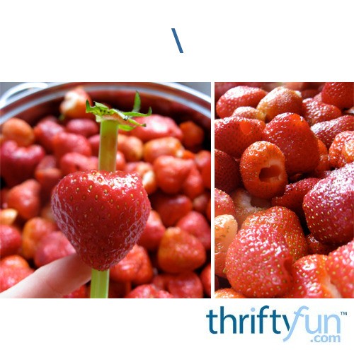 "Straw"berry Hulling | ThriftyFun