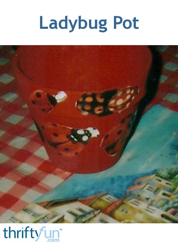 Making a Ladybug Pot | ThriftyFun