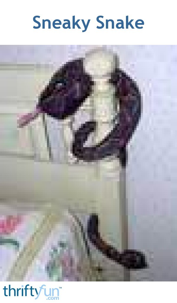 Sneaky Snake | ThriftyFun