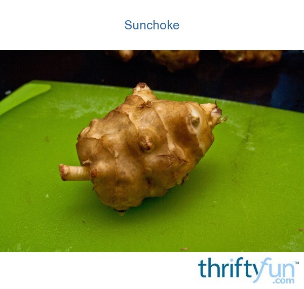 Jerusalem Artichoke (Sunchoke) Recipes | ThriftyFun