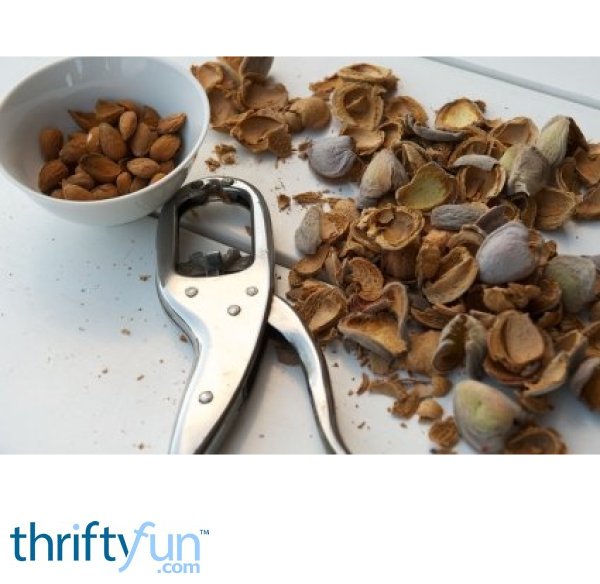 Shelling Nuts | ThriftyFun