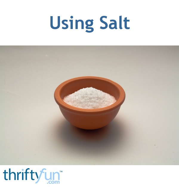 Using Salt | ThriftyFun