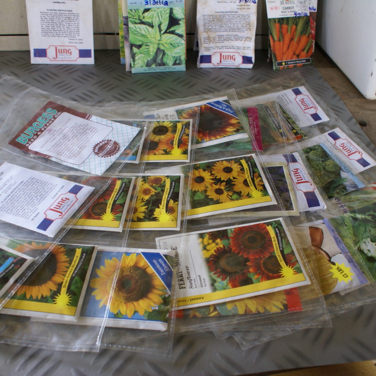 Seed Packet Storage | ThriftyFun