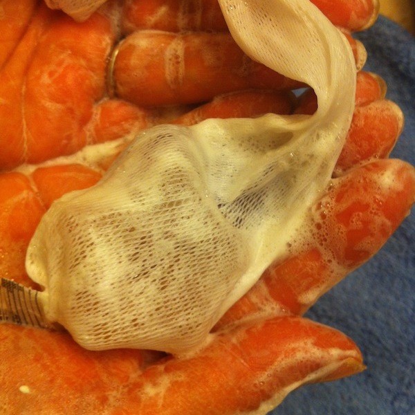 Reuse Garlic Bag as Soap Bag | ThriftyFun
