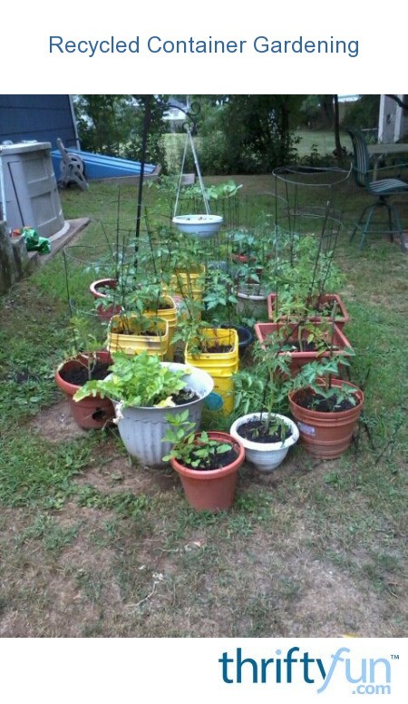 Gardening Using Recycled Containers | ThriftyFun