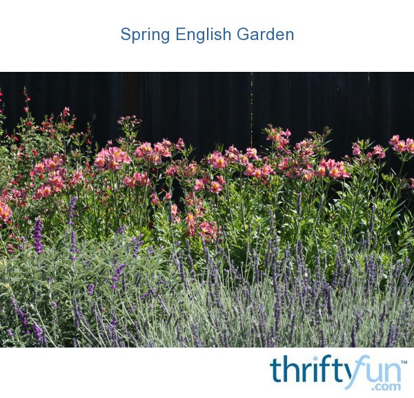 A Spring English Garden (Santa Barbara, CA) | ThriftyFun