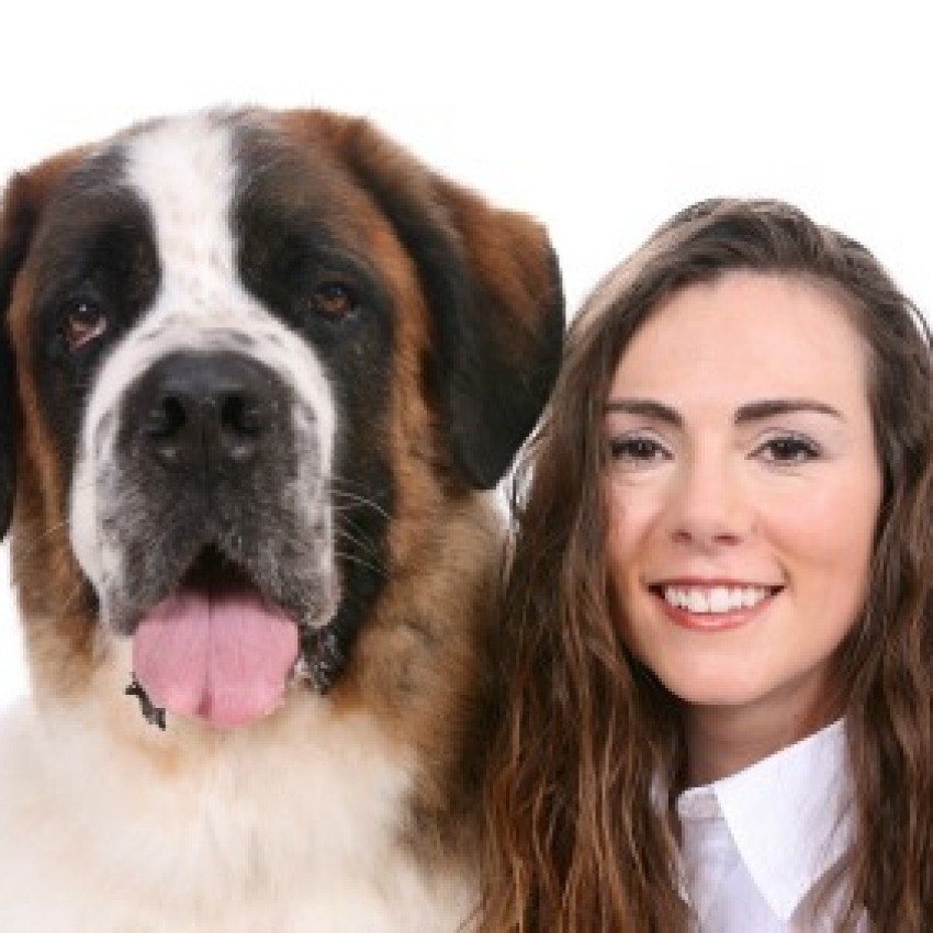 Saint Bernard Breed Information and Photos | ThriftyFun