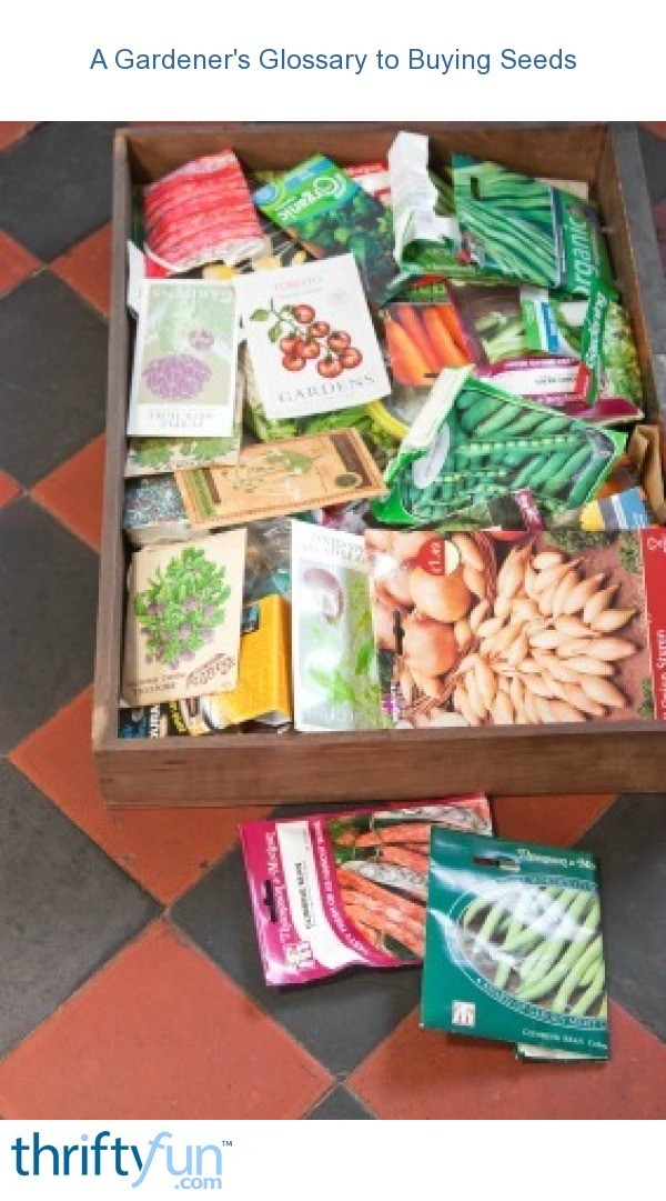 A Gardener's Glossary to Buying Seeds | ThriftyFun
