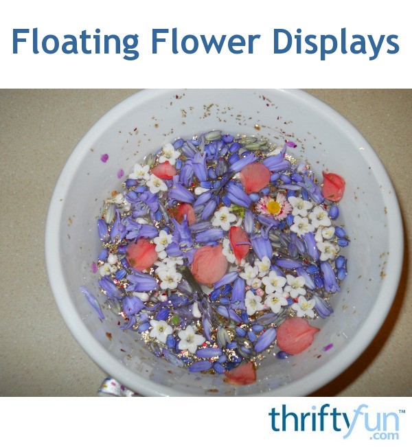 Floating Flower Displays | ThriftyFun