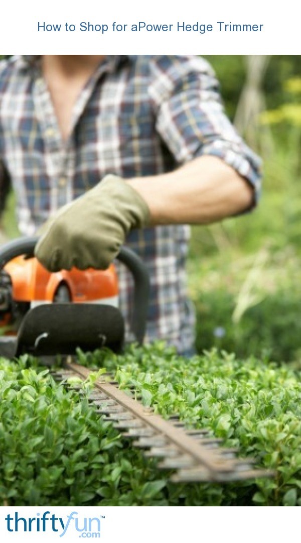 How to Shop for a Power Hedge Trimmer | ThriftyFun