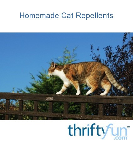 Homemade Cat Repellents | ThriftyFun