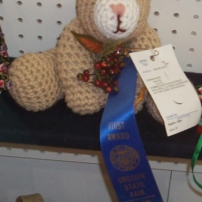 Blue Ribbons At The State Fair | ThriftyFun