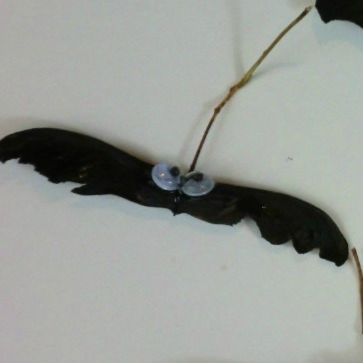 Making Seed Pod Bats | My Frugal Halloween