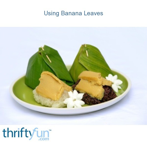 Using Banana Leaves in Cooking | ThriftyFun