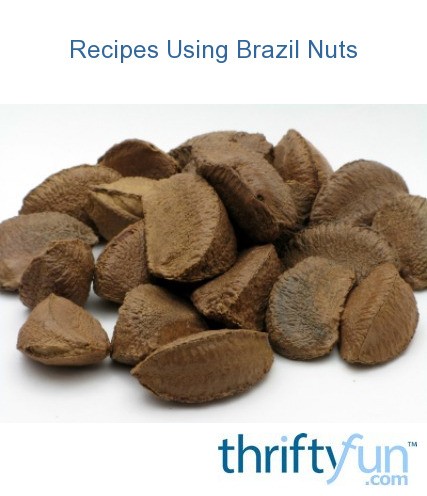 Recipes Using Brazil Nuts | ThriftyFun