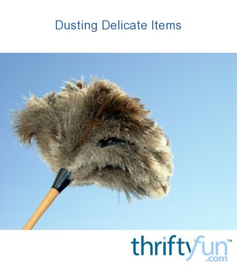 Dusting Delicate Items | ThriftyFun