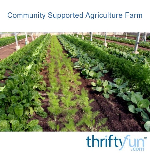 Joining a Community Supported Agriculture Farm | ThriftyFun