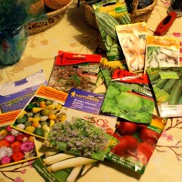 Uses for Empty Seed Packets | ThriftyFun