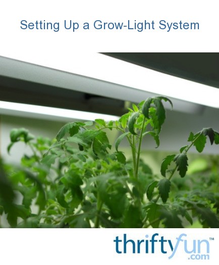 Setting Up a Grow-Light System | ThriftyFun
