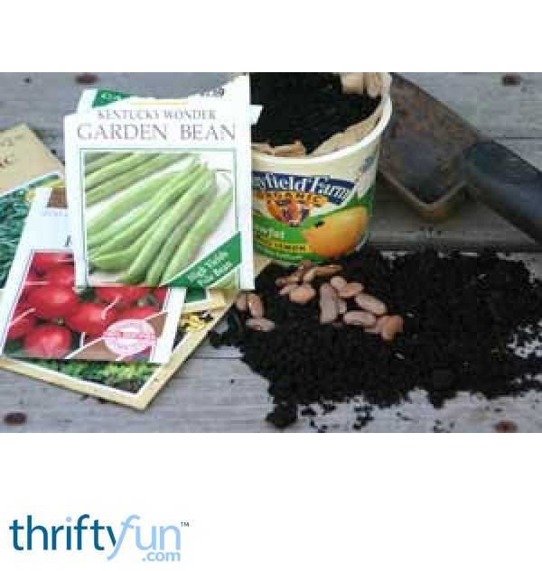 Sprouting Seeds | ThriftyFun