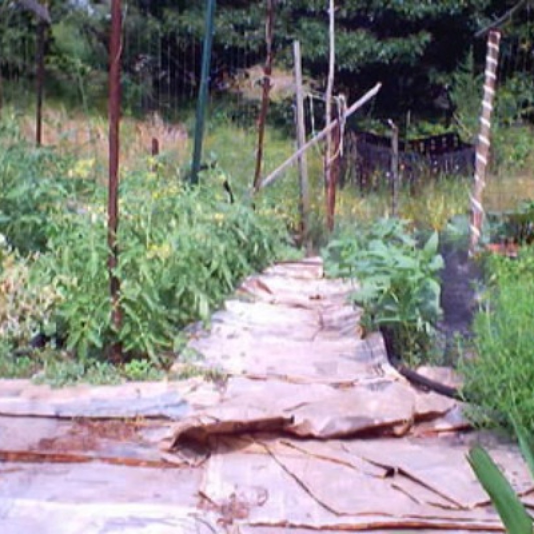 Using Newspaper in the Garden | ThriftyFun