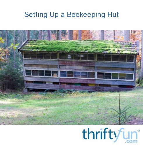 Setting Up a Beekeeping Hut? | ThriftyFun