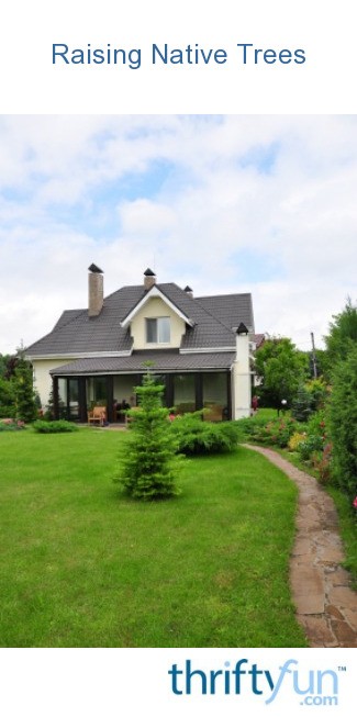 Raising Native Trees from Seed | ThriftyFun