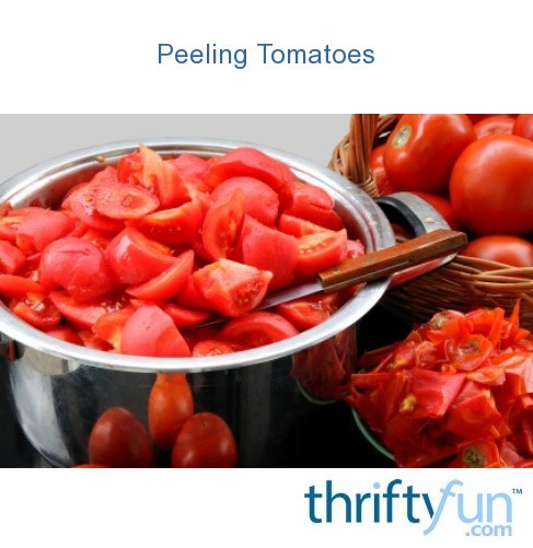 Peeling Tomatoes | ThriftyFun