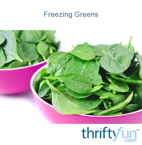 Freezing Greens | ThriftyFun