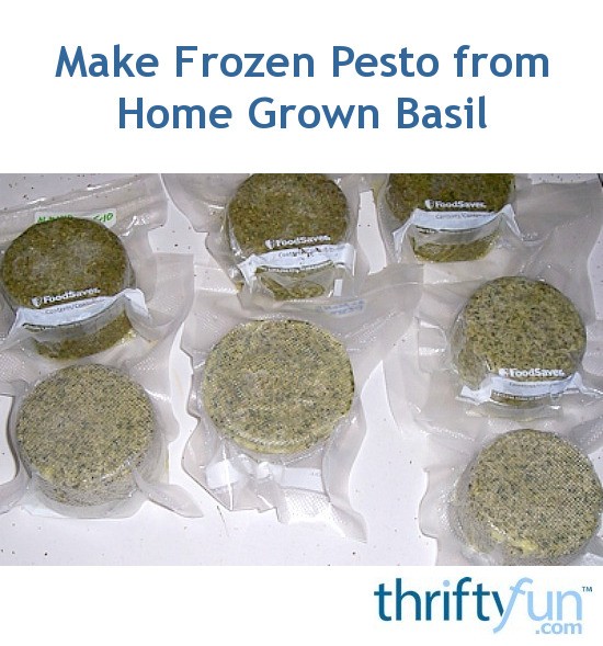 Make Frozen Pesto from Home Grown Basil | ThriftyFun
