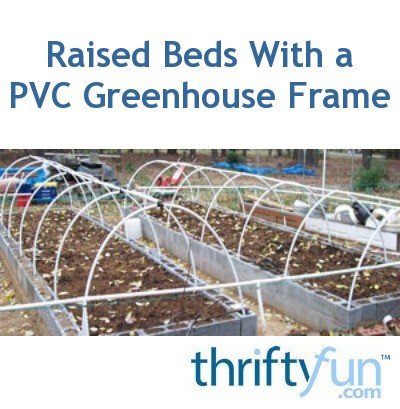 Raised Beds With PVC Greenhouse Frame | ThriftyFun
