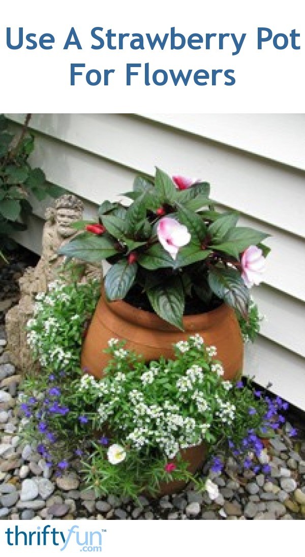 Use A Strawberry Pot For Flowers | ThriftyFun