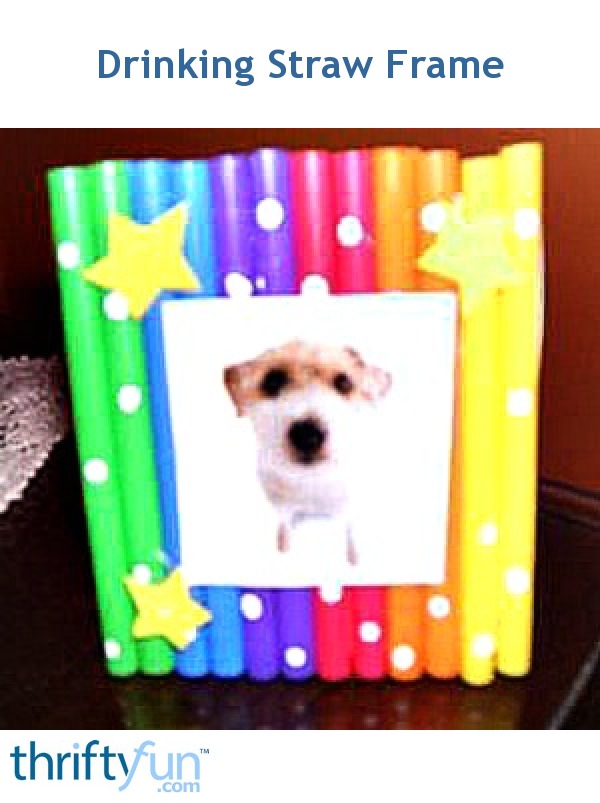 Drinking Straw Frame | ThriftyFun