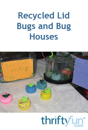 Recycled Lid Bugs and Bug Houses | ThriftyFun