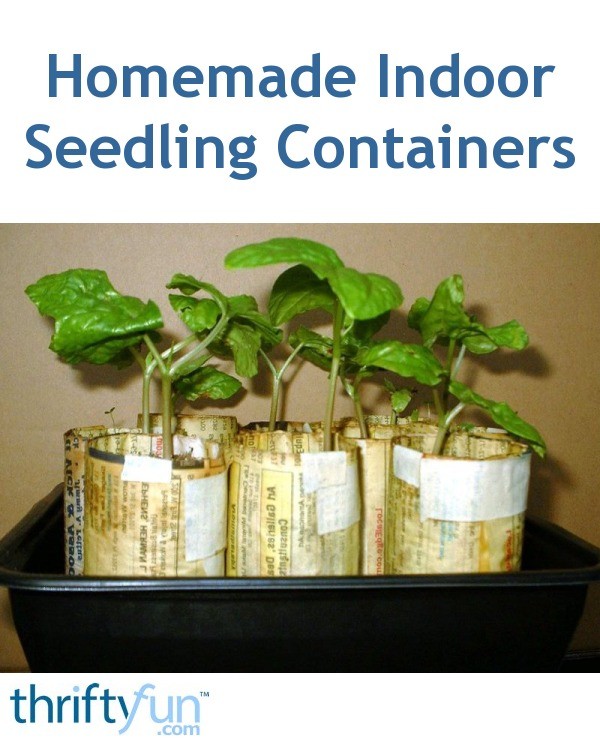 Homemade Indoor Seedling Containers | ThriftyFun