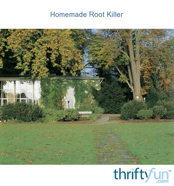 Homemade Root Killer? | ThriftyFun