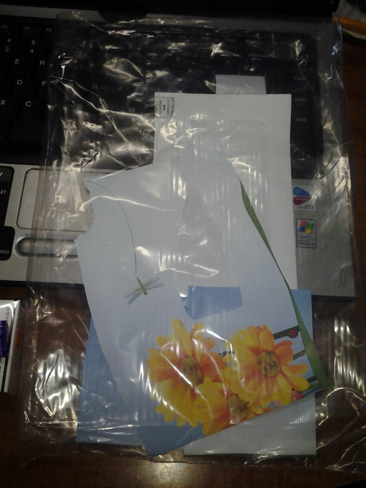 Reuse Clear Plastic Magazine Mailer | ThriftyFun