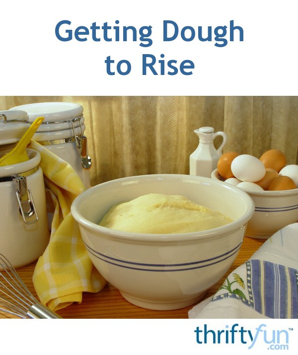 How to Get Dough to Rise | ThriftyFun