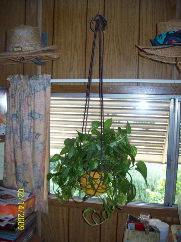 Homemade Hat Rack ThriftyFun Homemade Hat Rack ThriftyFun