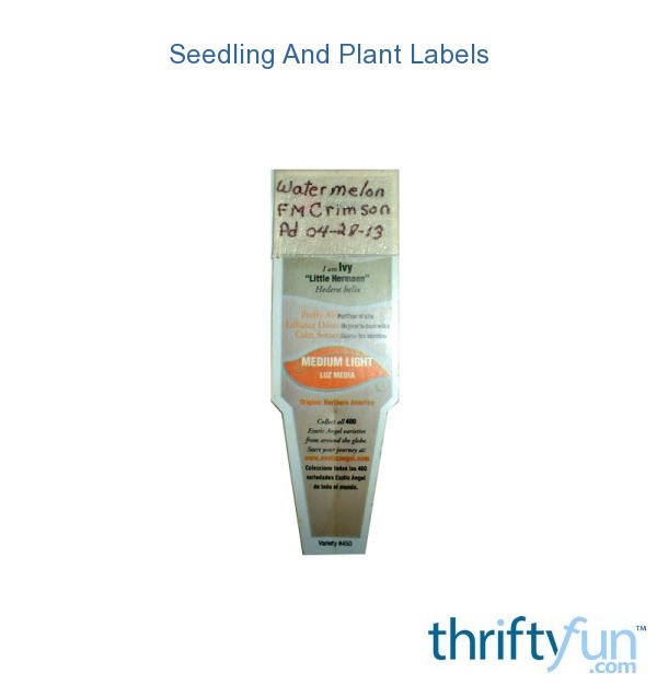 Seedling And Plant Labels | ThriftyFun