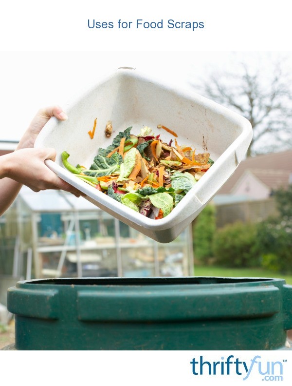 Uses for Food Scraps | ThriftyFun