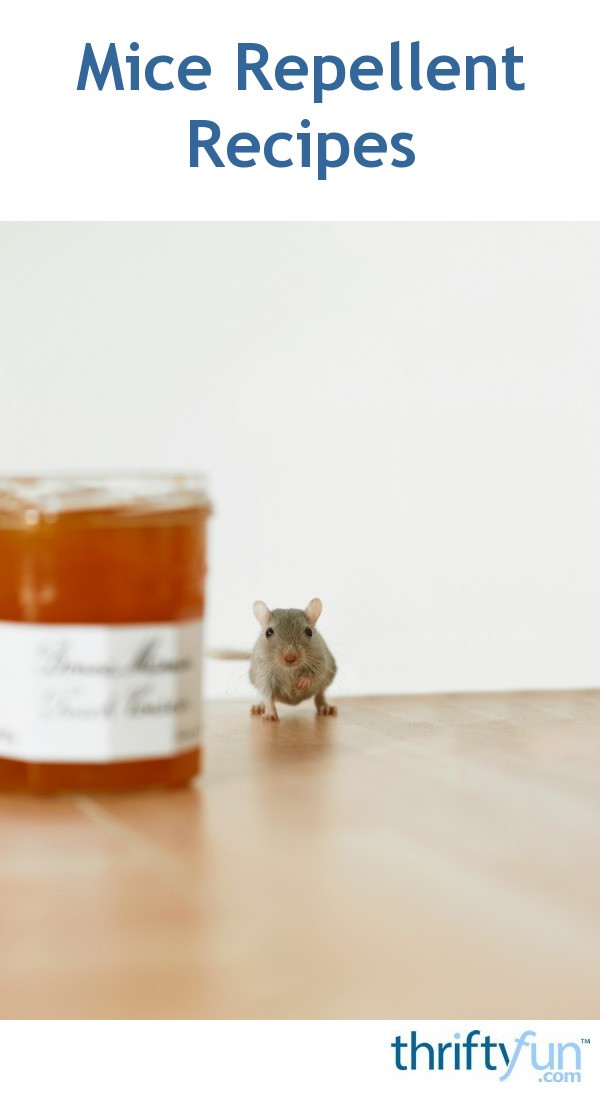 Mice Repellent Recipes | ThriftyFun