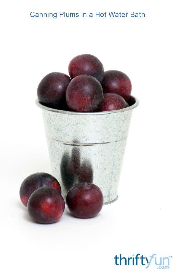 Canning Plums in a Hot Water Bath | ThriftyFun
