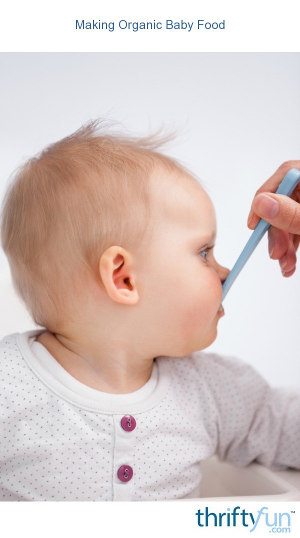 Making Your Own Organic Baby Food | ThriftyFun